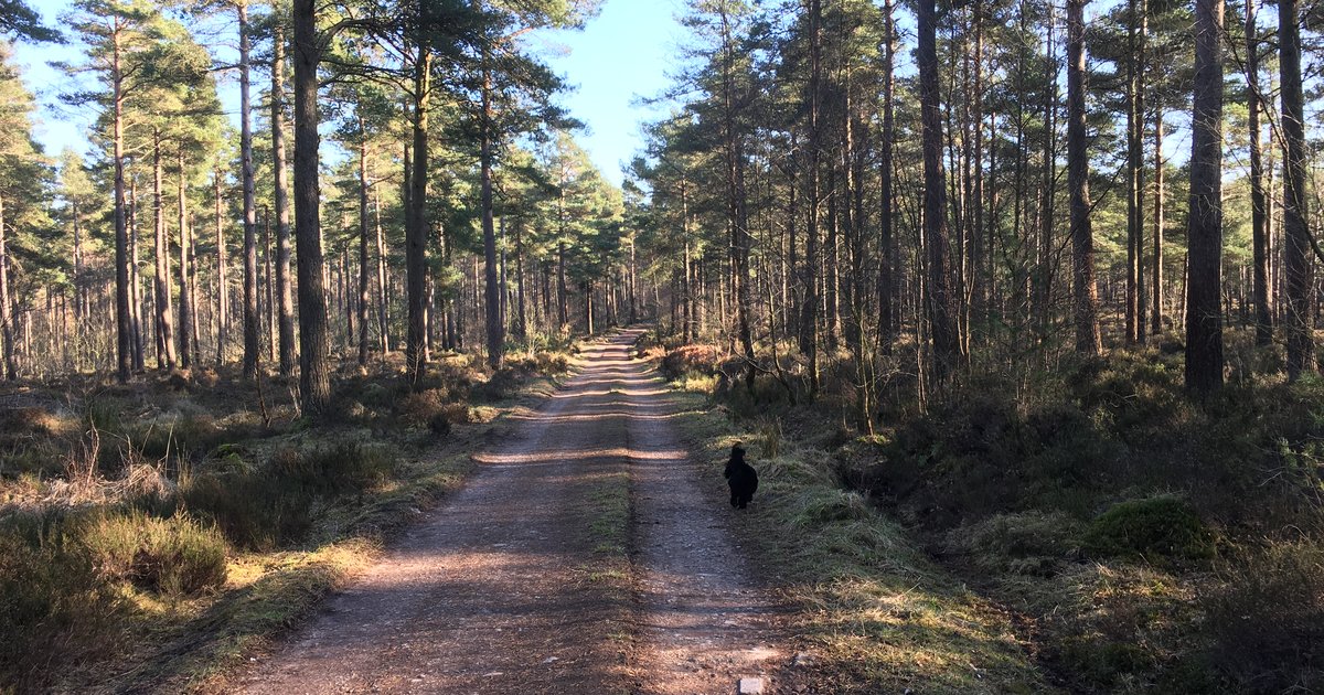 Rural pathways - The Methodist Church